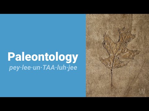 How to Pronounce Paleontology