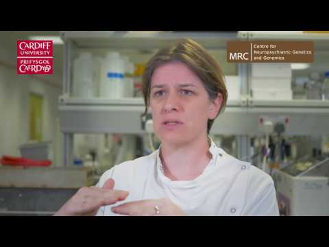 How we extract DNA from blood samples
