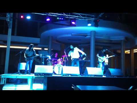 still loving you by new element band