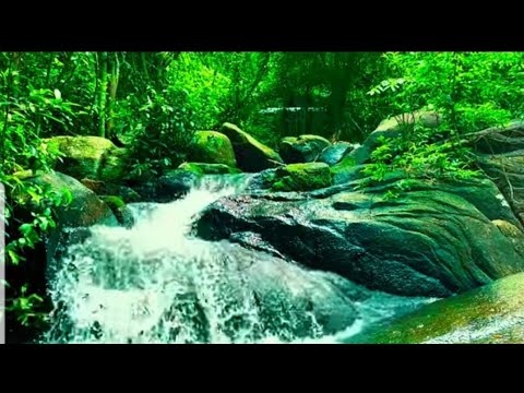 Relaxing Music and Soft Sound for Stress Relief,Anxiety,insomia ,Healing Mind and Body &Soul