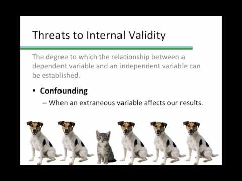 External and Internal Validity