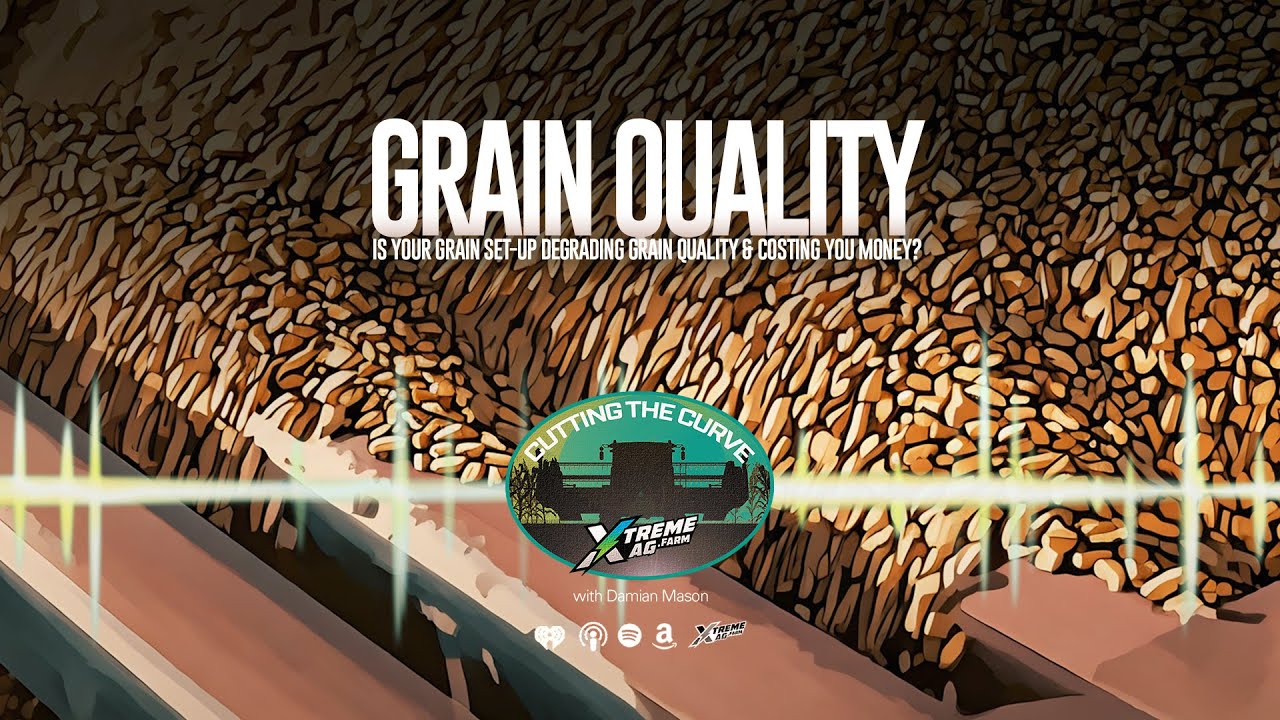 Is Your Grain Set-Up Degrading Grain Quality & Costing You Money?