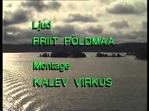 Talar du Svenska?