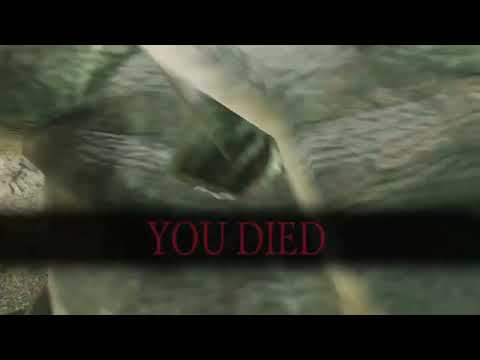 Welcome to DS2