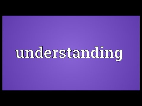 Understanding Meaning