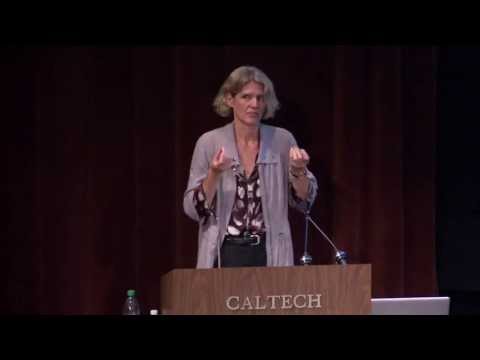 Objects and Data Collections in Early Scientific Disciplines - Anja-Silvia Goeing - May 23, 2013