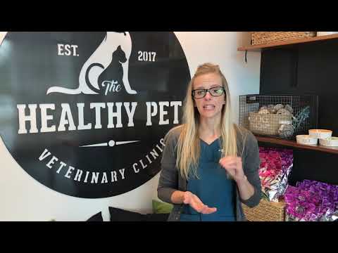 Distemper Parvo Vaccine Education