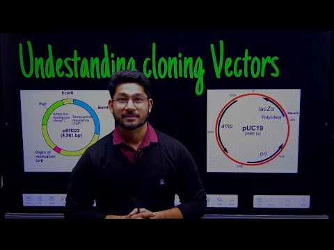 Understanding Cloning Vectors - pBR322 & pUC19