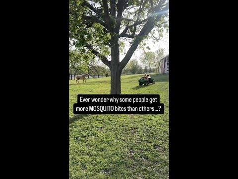 Ever wonder why some people get more mosquito bites than others? #Mosquitos #Summer #Health #shorts