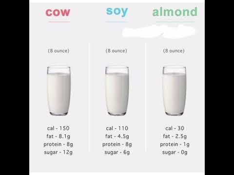 cow milk vs soy milk vs almond milk