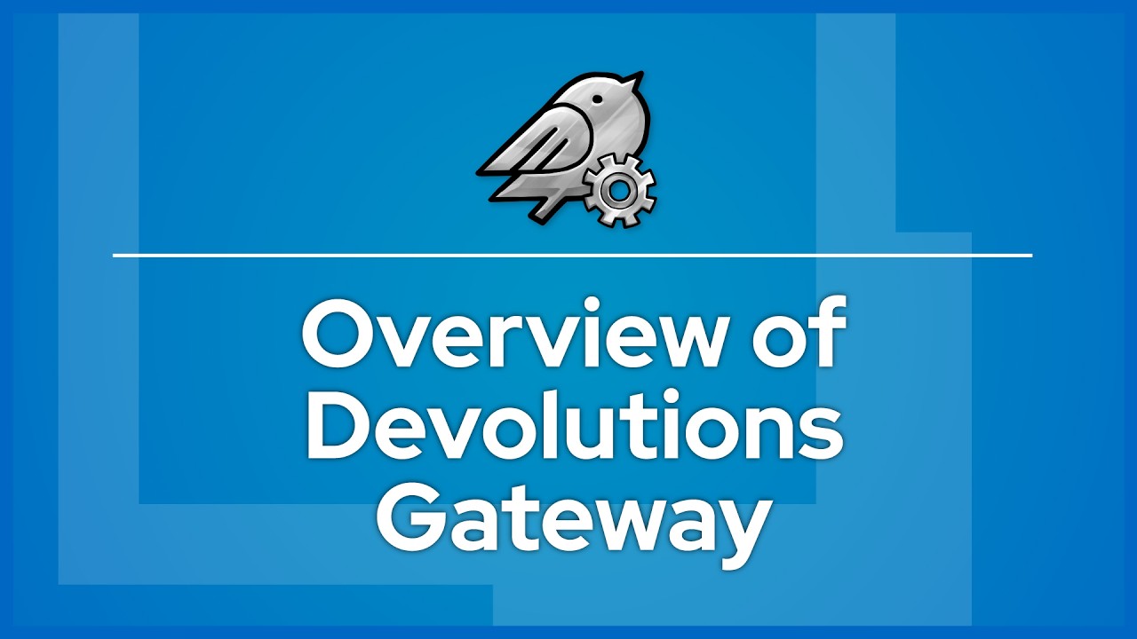 Overview of Devolutions Gateway