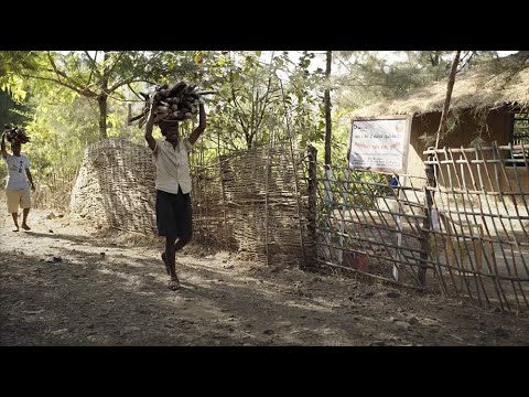 Climate Resilience in India