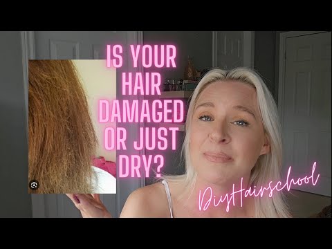 Dry vs. Damaged Hair: How to Identify and Treat Your Hair's Needs