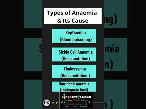 Types of Anaemia and its cause