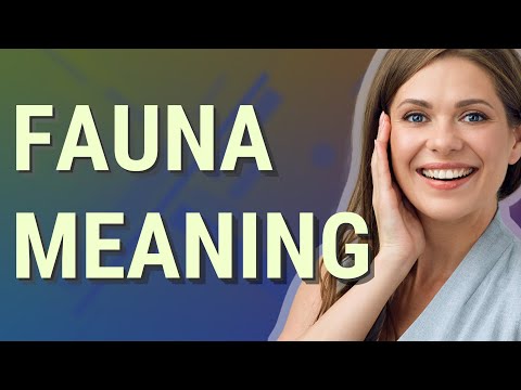 Fauna | meaning of Fauna