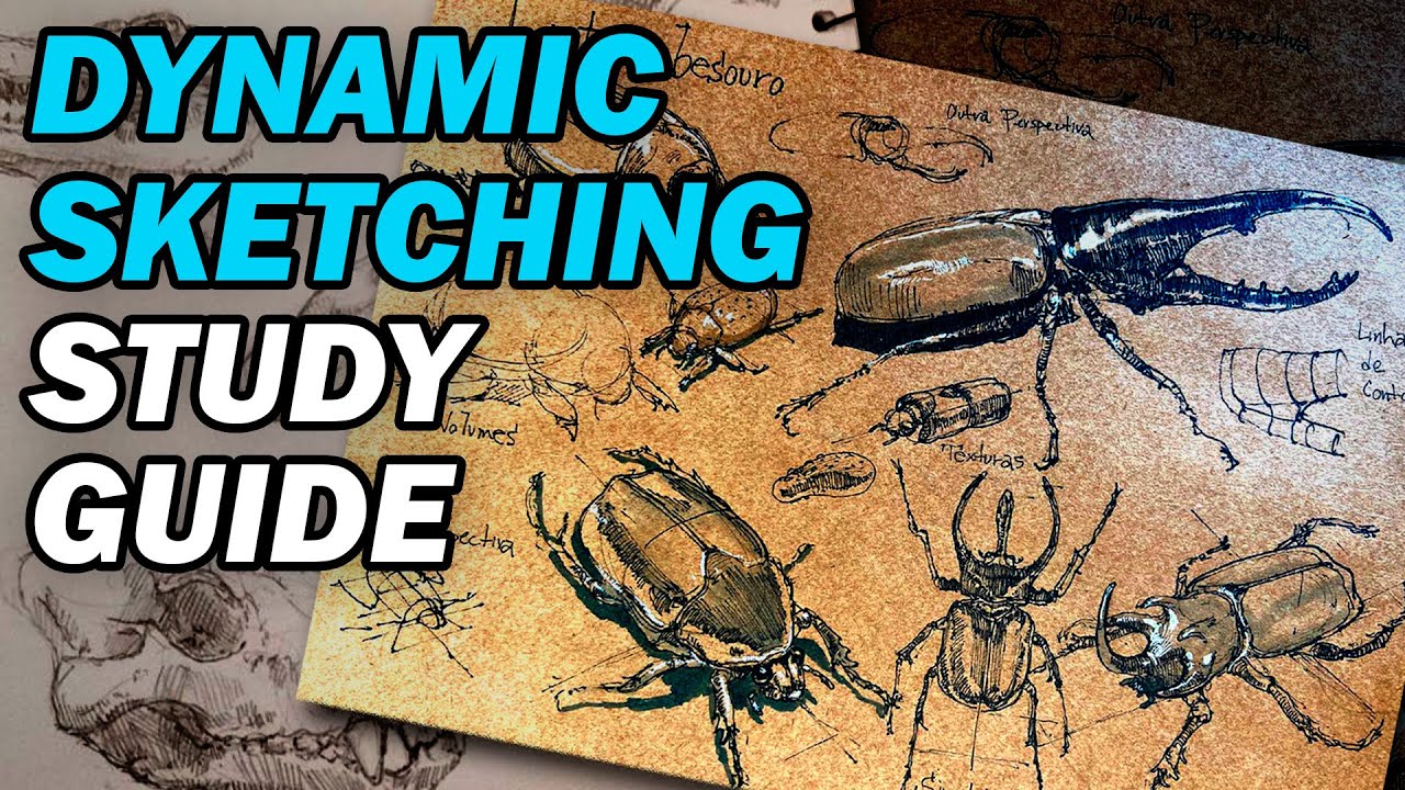 Dynamic Sketching Study Guide