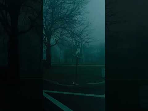 Foggy weather #fog #artist #reels #sad #art #rain #music #shorts #short #shortvideo #crystalcastles