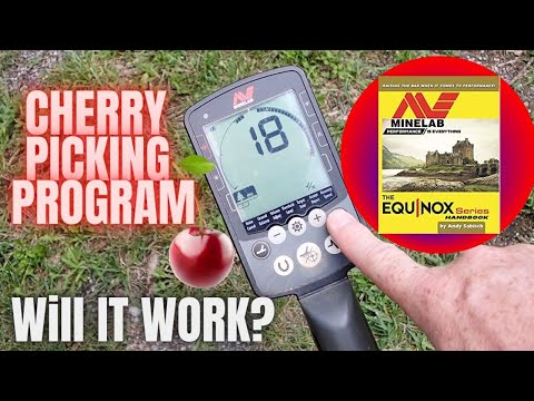 Does The Andy Sabisch Cherry Picking Program Really Work?