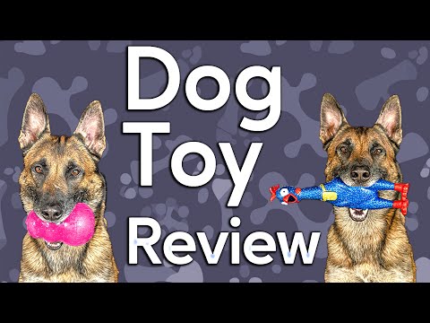 Chew Toys for Working Dogs