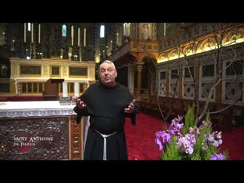 Happy New Year from friar Mario Conte from the Basilica of Saint Anthony in Padua