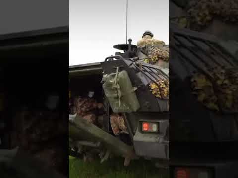THE DARDO IFV #italianarmy #military #army #aviation
