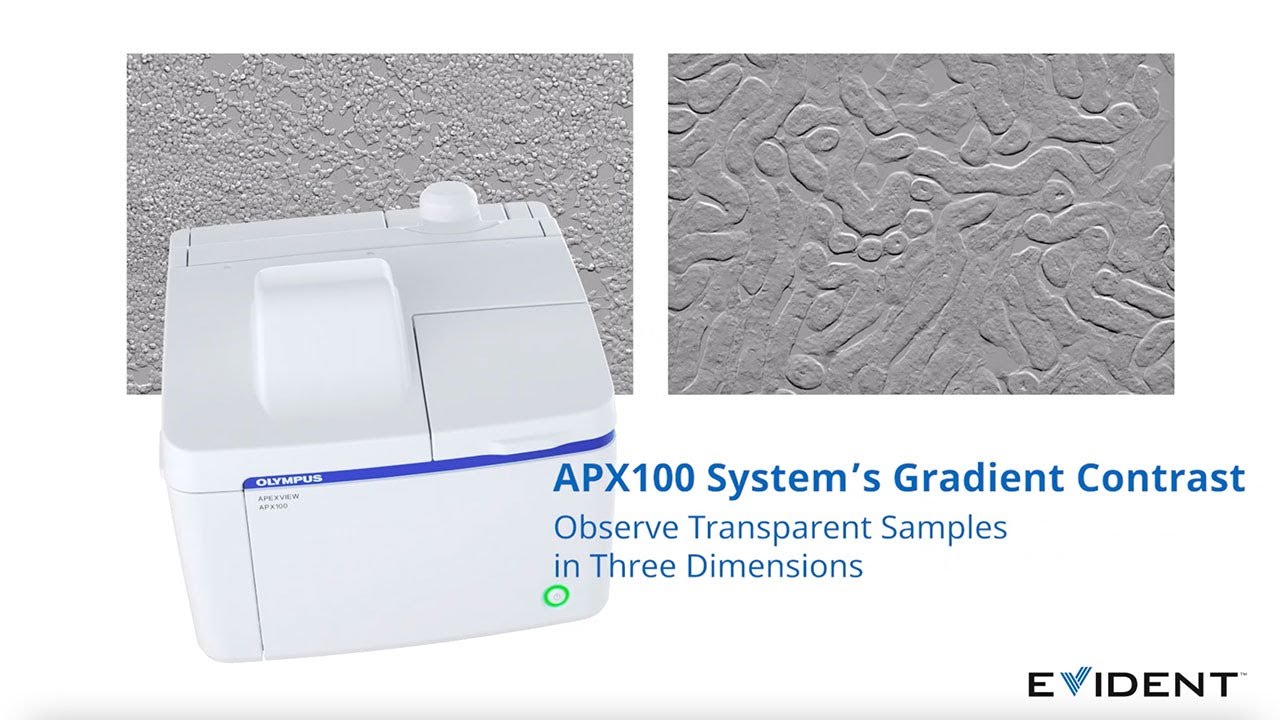 Improve Your Experiment with Gradient Contrast | APX100 Microscope