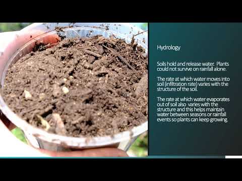 Soils