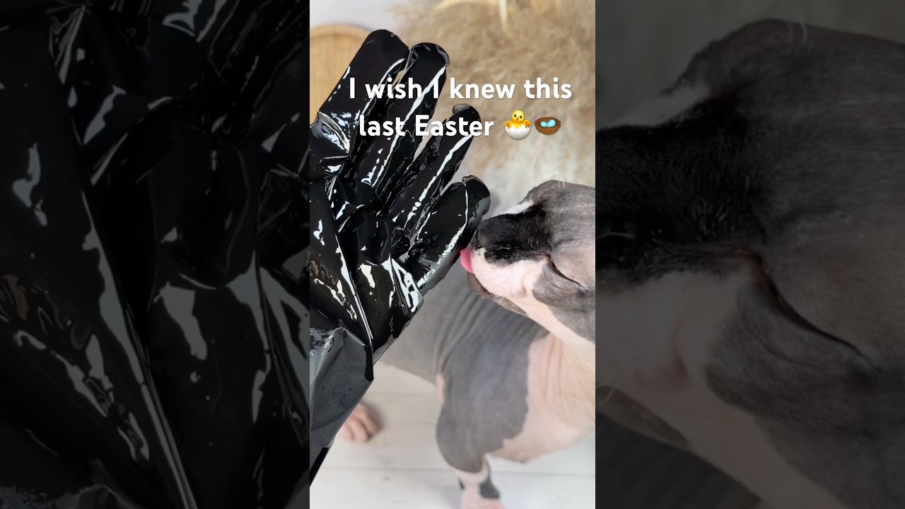 Easter Trends 2026. Easiest way to dye beautiful Easter eggs! #easter #cat #diy #eggs