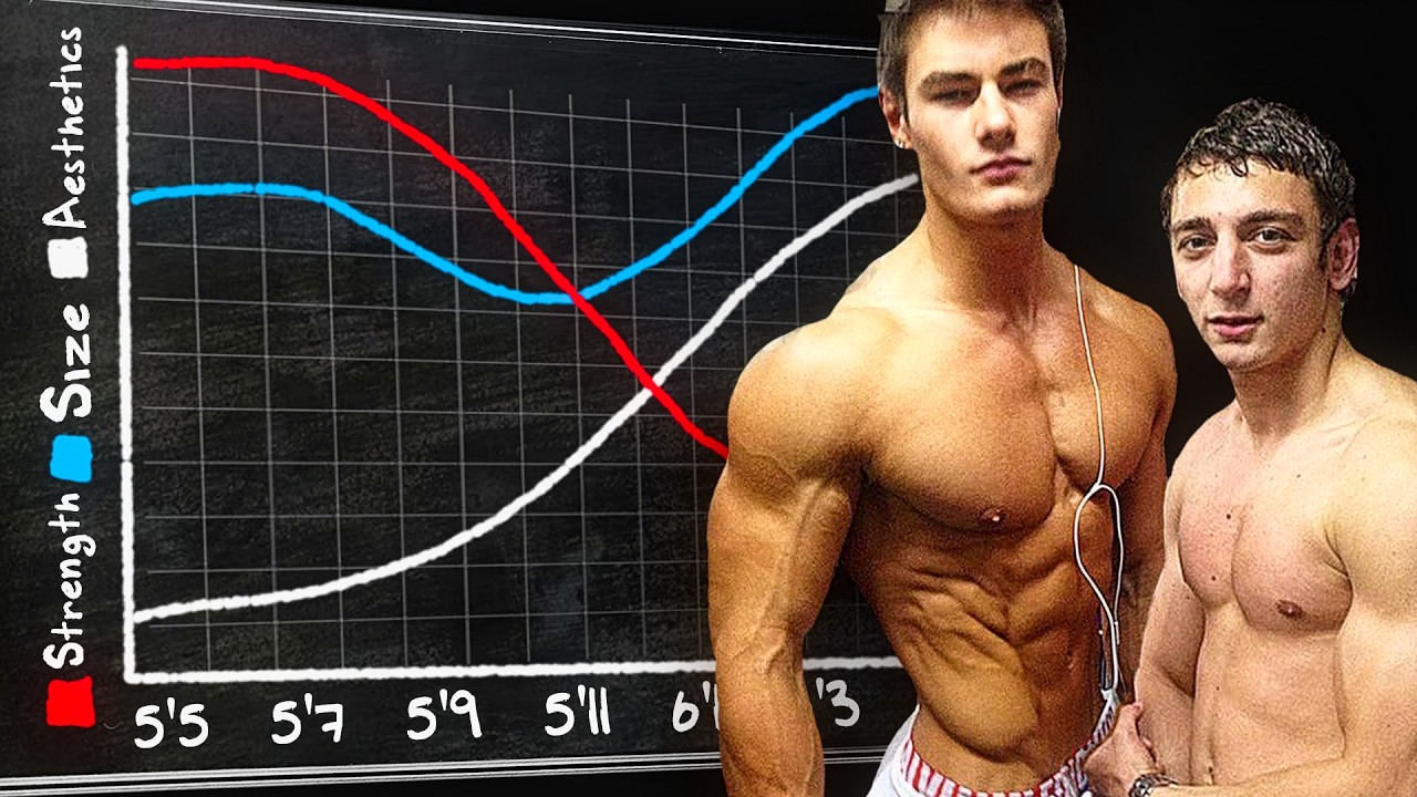 How Height Impacts your Physique (With Examples)