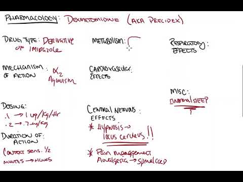 Dexmedetomidine Injection - Dexem Injection Latest Price, Manufacturers ...