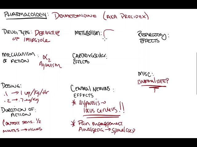 Anesthesia - Pyrolate 0.2mg, Glycopyrrolate Injection Manufacturer from ...