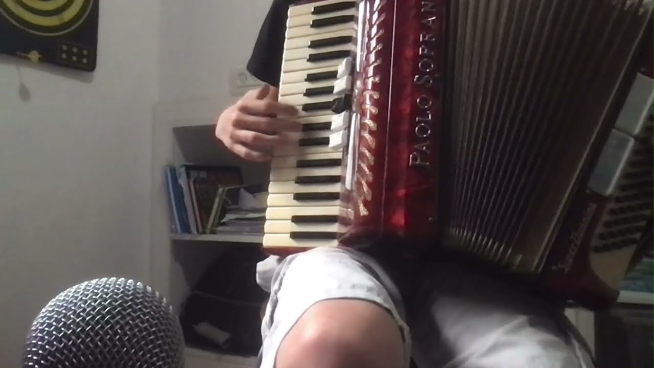 The Godfather Waltz on Accordion [Full video]