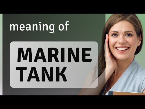 Understanding "Marine Tank": An English Phrase Explained