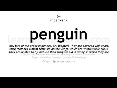 Pronunciation of Penguin | Definition of Penguin