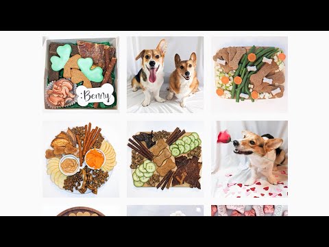 Chicago business offers personalized dog charcuterie boards (aka barkuterie) to pups across country