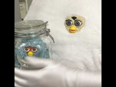 Long Furby learns to open a jar