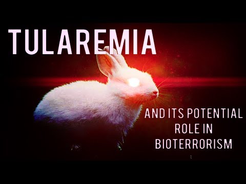 RABBIT FEVER AND BIOTERRORISM [TULAREMIA]