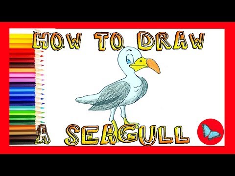 Seagull Drawing Step by Step Tutorial – I'm Youtuber – Follow my videos ...