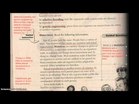 Lesson 20 - Sources of Variation - Guided Instruction
