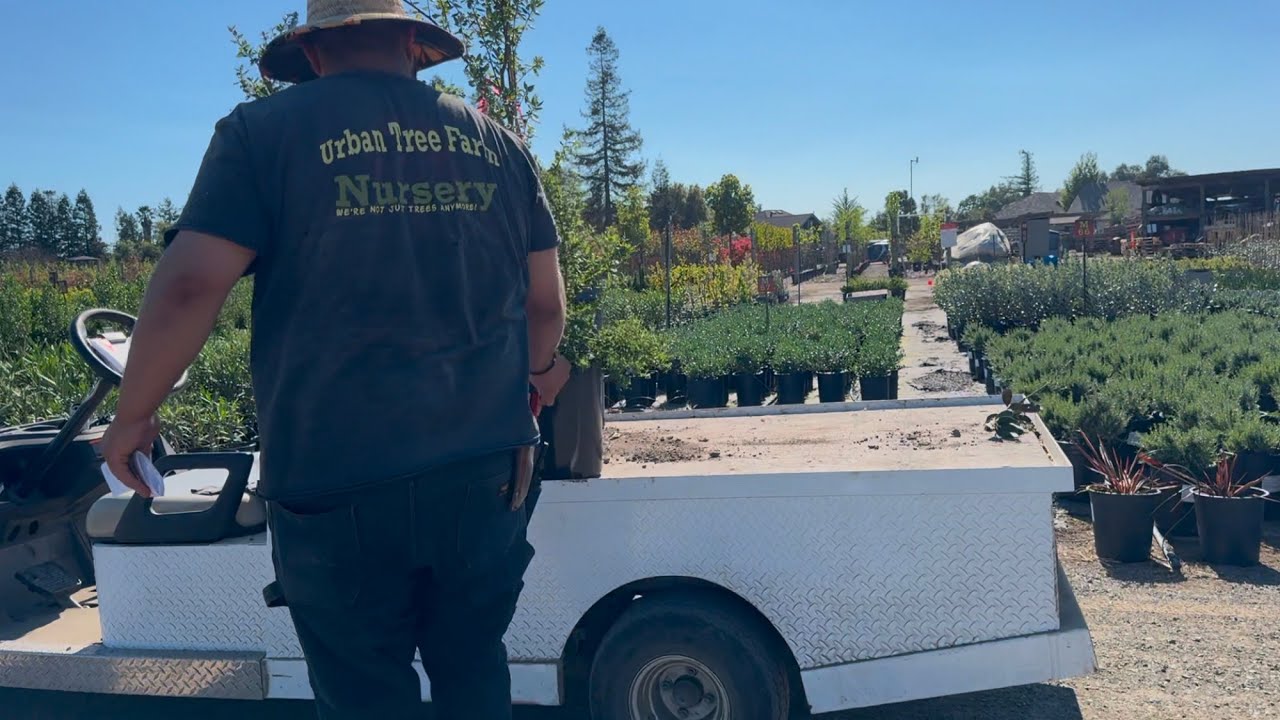 A Fun Trip to Urban Tree Farm Nursery
