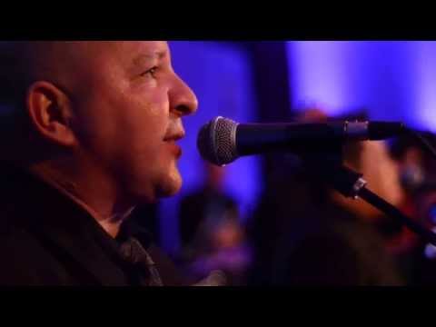 Bulbo Houston | Wedding Bands - The Knot