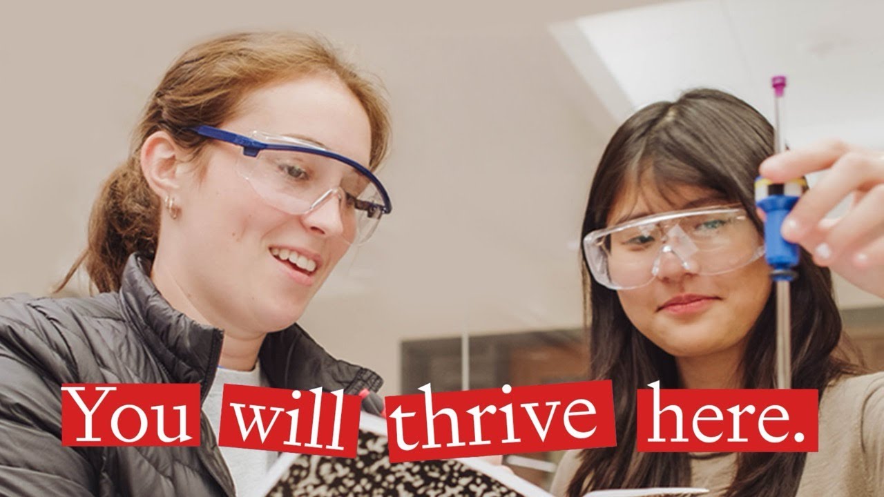You Will Thrive Here
