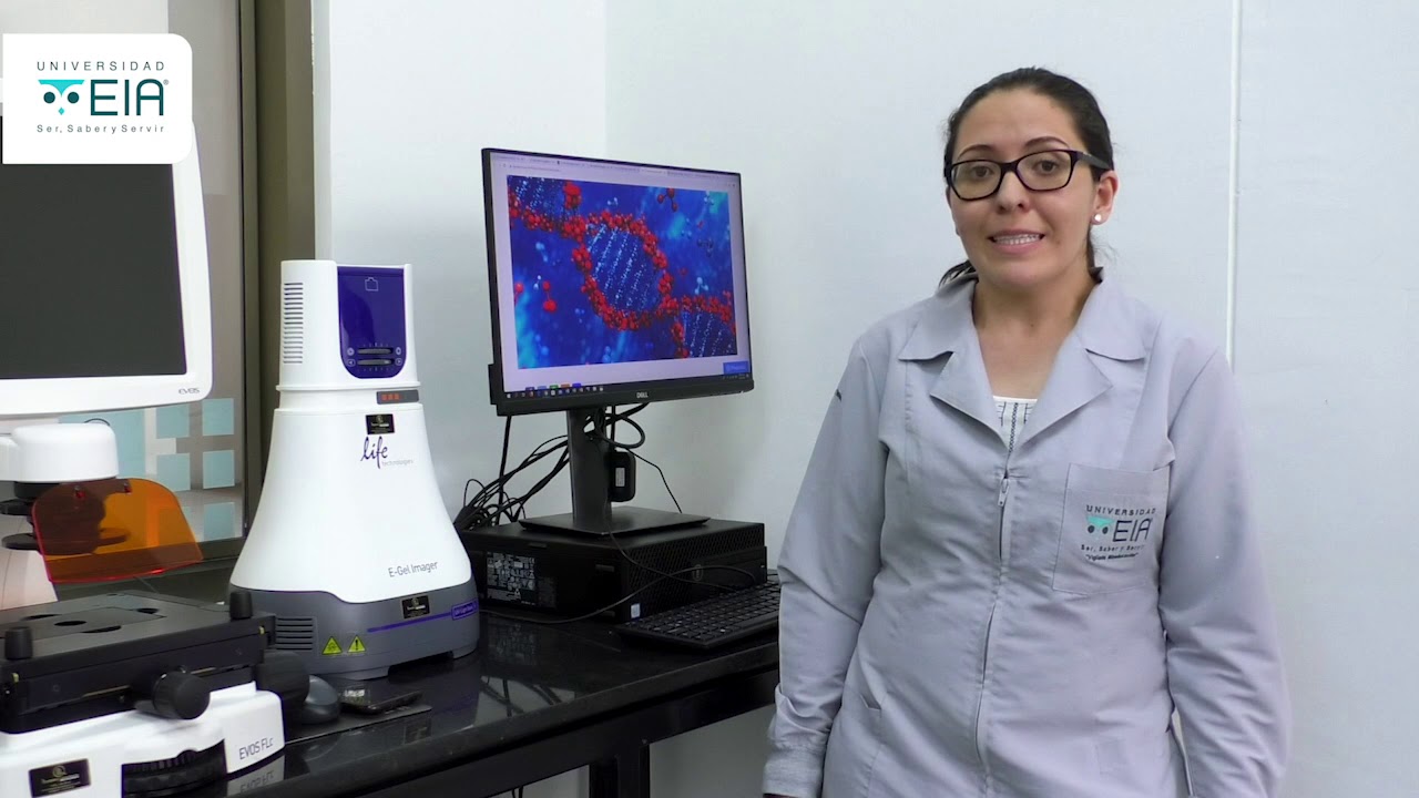 Línea de biología computacional.