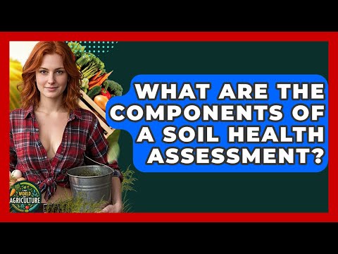 What Are The Components Of A Soil Health Assessment? - The World of Agriculture
