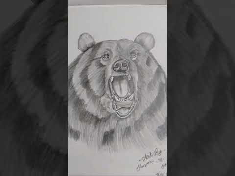 Roaring π» Bear