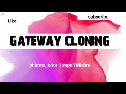 Gateway cloning