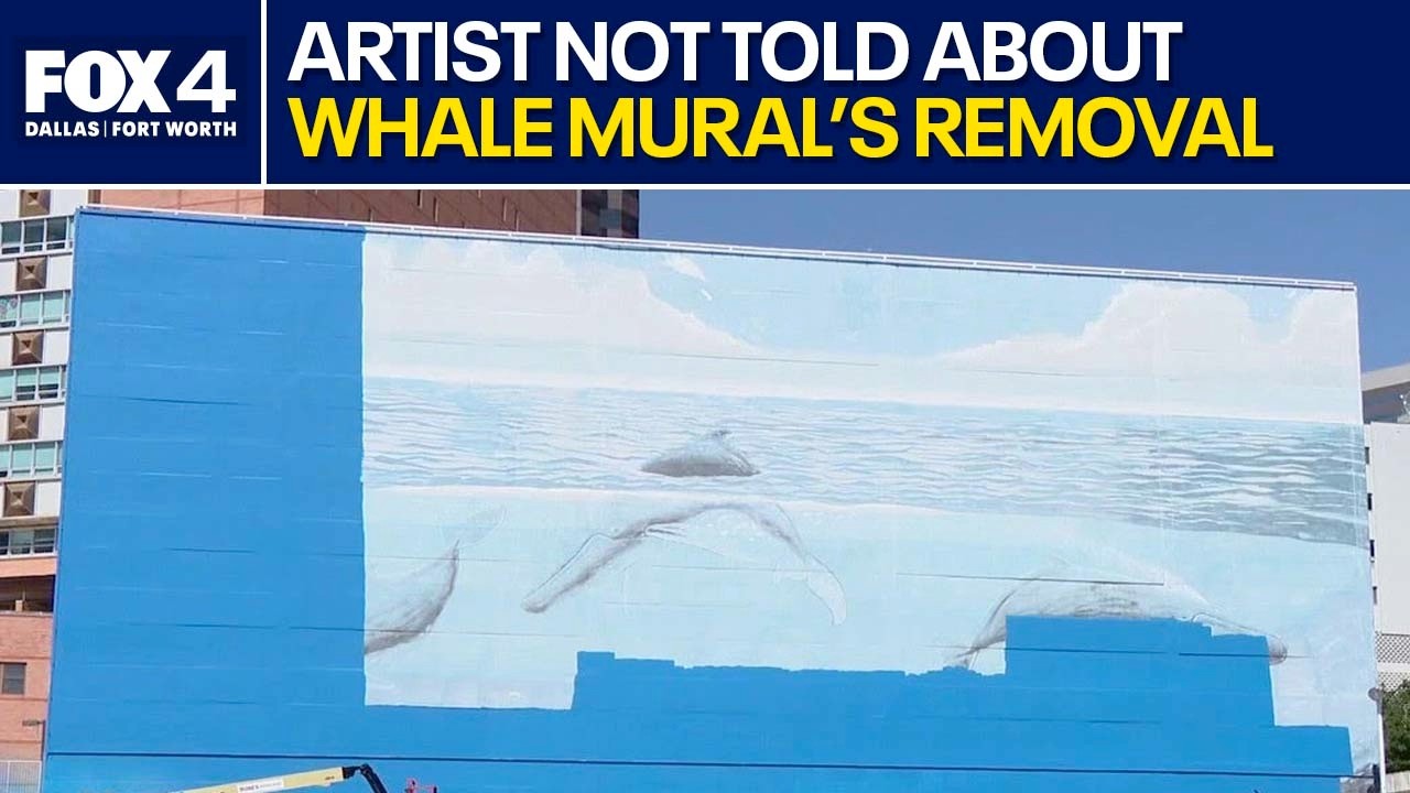 Artist was unaware Dallas whale mural was being removed