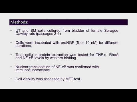 #369 NERVE GROWTH FACTOR PRECURSOR (PRONGF) EXERTS DIFFERENT BIOLOGICAL ACTIONS ON UROTHELIAL AN...