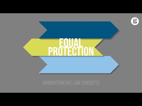 Equal Protection