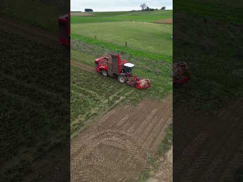 Vervaet beet harvest. #drone #farming #agriculture #farm #agro #dji